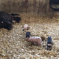 Muscoot Farm - 21 tips from 1061 visitors