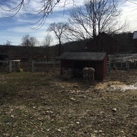 Muscoot Farm - 21 tips from 1061 visitors