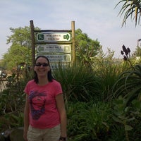 Howick Falls - Scenic Lookout in Howick