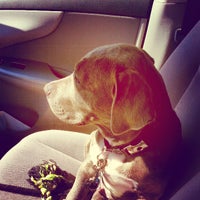 Shivela Middle School - Middle School in Murrieta