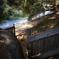 Earthquake Trail - Trail in Point Reyes Station