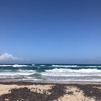 Gulfstream Park - Beach