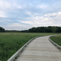 Cuba Marsh Forest Preserve - Nature Preserve