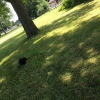 McCarty Park - 10 tips from 919 visitors