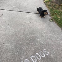 Frame Park - 14 tips