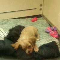 Pets R' Inn - West Acres - Fargo, ND