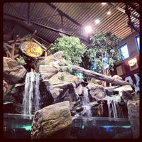 Bass Pro Shops - Concord Mills - 26 tips
