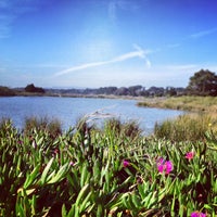 Lake Merced Run Loop - Lakeshore - 11 tips from 518 visitors