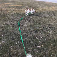 Rubio Woods - Midlothian, IL