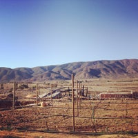 Vena Cava Vinícola - Rancho San Marcos, Toros Pintos, Valle de Guadalupe