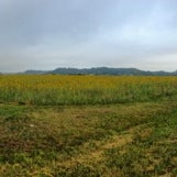 Fort Falls- Fort Niobrara Wildlife Refuge - 52 visitors