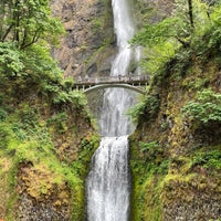Multnomah Falls - 184 tips from 21721 visitors