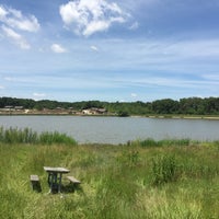 Bullfrog Lake - Willow Springs, IL