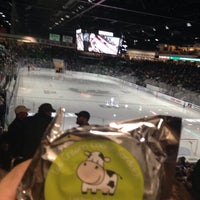 Munn Ice Arena - Michigan State University - 17 tips from 1708 visitors