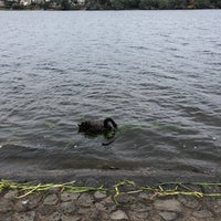 Lake Pupuke - Takapuna - Lake Pupuke