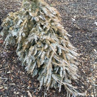 Big Trees Forest Preserve - Sandy Springs, GA