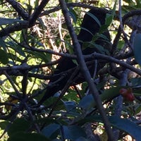 Pukaha Mount Bruce Wildlife Centre - Masterton, Wairarapa