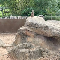 Yorkshire Wildlife Park - Zoo in Doncaster