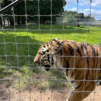 Yorkshire Wildlife Park - Zoo in Doncaster