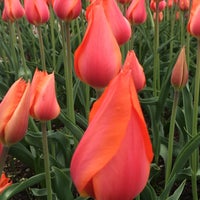 Windmill Island Garden - Garden