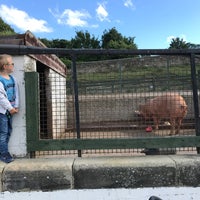 Gorgie City Farm - Gorgie - Edinburgh, City of Edinburgh