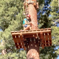Tahoe Tree Top Adventures - 7 tips from 251 visitors
