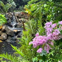 Queen Elizabeth II Botanic Park - Garden in Grand Cayman