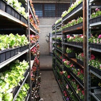 Brooklyn Terminal Market - 8701 Foster Ave - Brooklyn