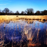 Buurser Meertje - Lake