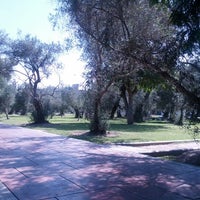 Bosque El Olivar - Park in San Isidro