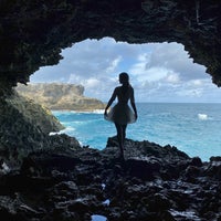 Animal Flower Cave - Cave