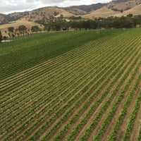 Petaluma Winery - 1 tip