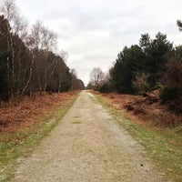 Rendlesham Forest - Tangham - 6 tips from 129 visitors