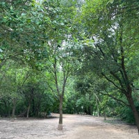 Red Bud Isle - Dog Park in Austin