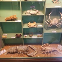 National Museum of Natural History - 5 tips from 289 visitors