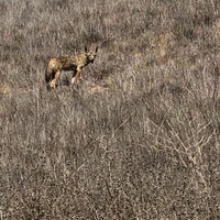 Santa Rosa Plateau Ecological Preserve - Clinton Keith Rd