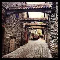 Sinilind (Now Closed) - Vanalinn - Müürivahe 50