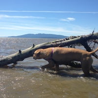 Locust Beach - Beach
