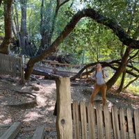 Earthquake Trail - Hiking Trail in Point Reyes Station