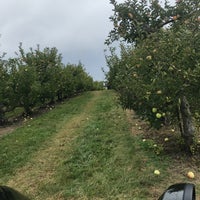 Lynds Fruit Farm - 24 tips from 1613 visitors