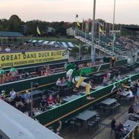 Madison Mallards Duck Blind - Baseball Field