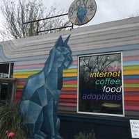 Blue Cat Cafe (Now Closed) - East Cesar Chavez - Austin, TX
