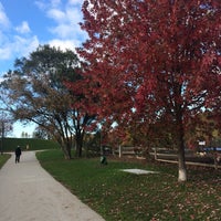 Cedarvale Park - Field