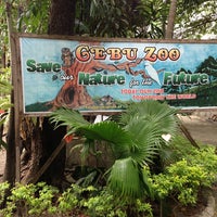 Cebu Zoo - 1 tip