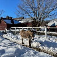 Muscoot Farm - 21 tips from 1061 visitors