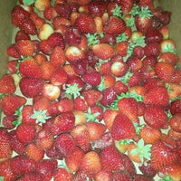 Graysmarsh Berry Farm - Farm in Sequim