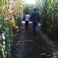 The Maize at the Pumpkin Patch - Farm in Portland