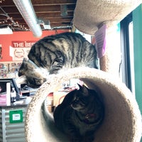 Photos at Urban Tails Pet Supply - Lowry Hill East - 2106 Lyndale Ave S