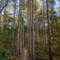 Riley Trails - Hiking Trail