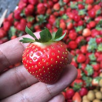 Session Road In Bloom - Flea Market